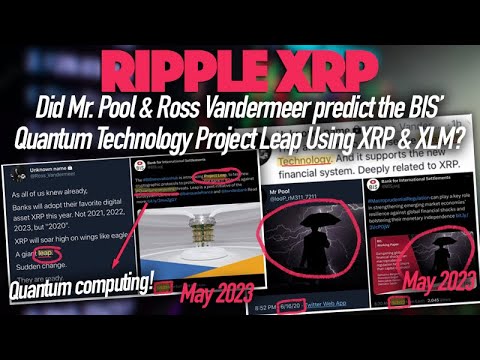 Ripple XRP: Did Mr. Pool & Ross Vandermeer Predict The BIS’ Project ...