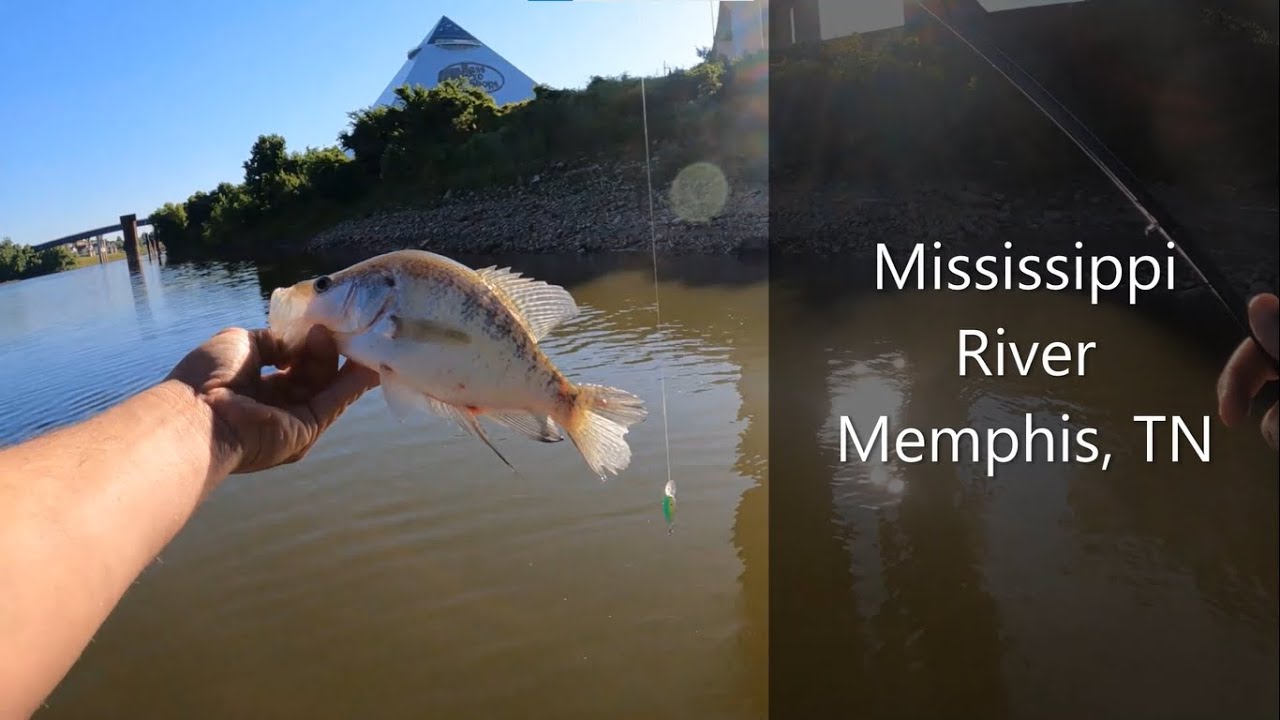 Fishing Downtown Memphis, TN - YouTube