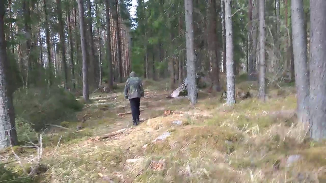 Le Loyon 5.5-17 - YouTube