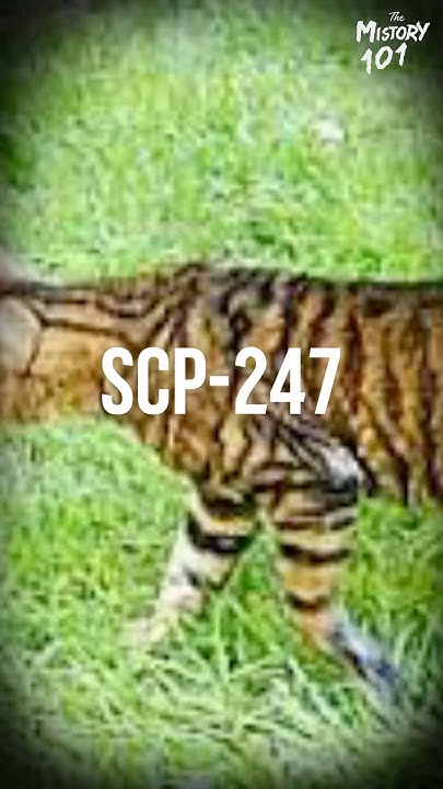 SCP-247 เสือที่ไม่ใช่เสือ #horror #ghost #creepypasta #scary #น่ากลัว #facts #creepy #scp # ...