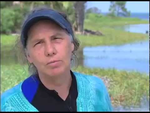 "Sea Grasses'" with Jack & Anne Rudloe - YouTube