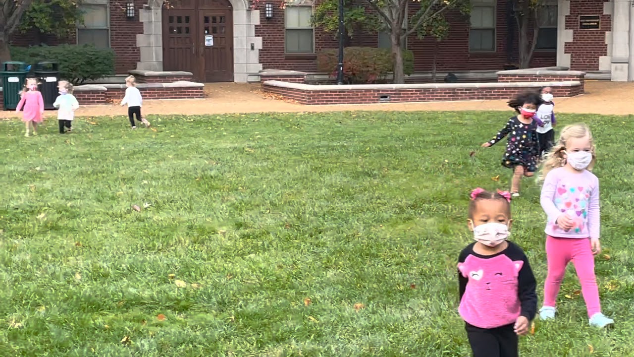 Teddy field - YouTube