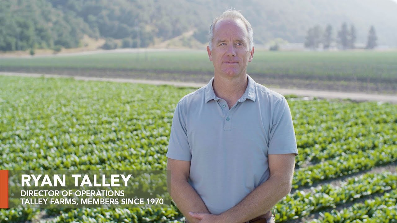Western Growers Membership Spotlight: Talley Farms - YouTube