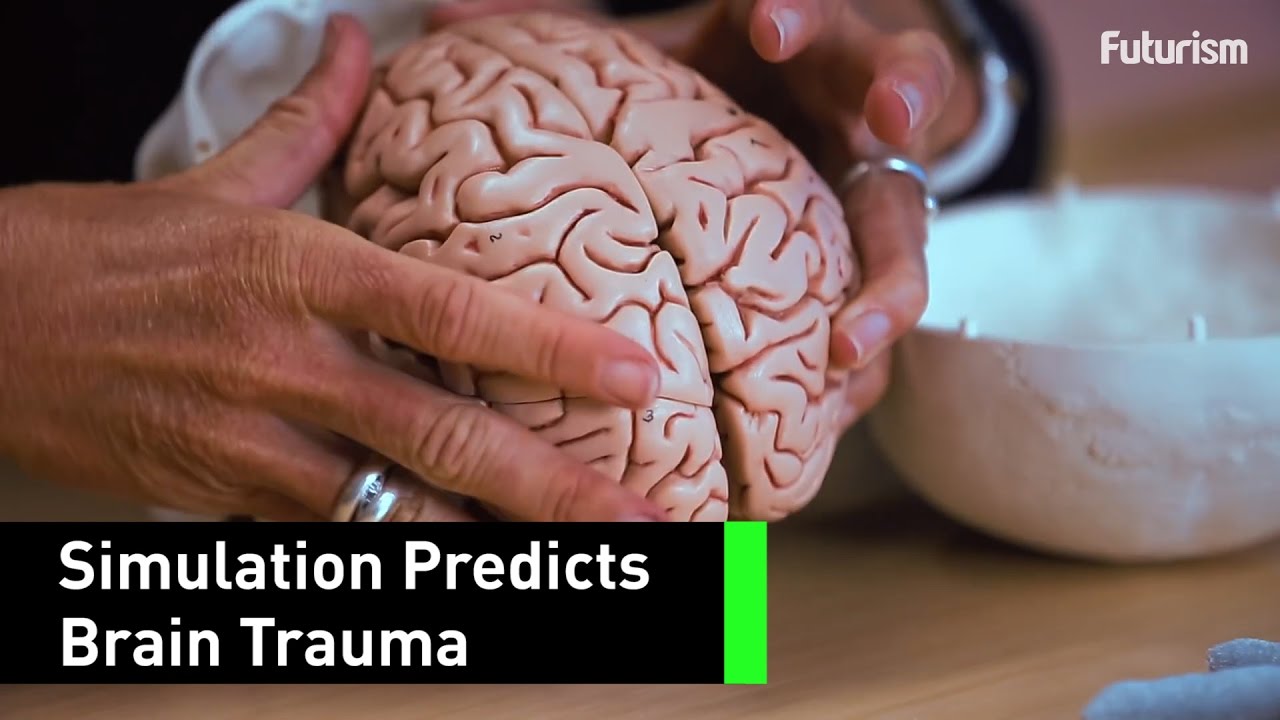 Stanford's Simulation Is The Guide For Future Brain Surgeries - YouTube