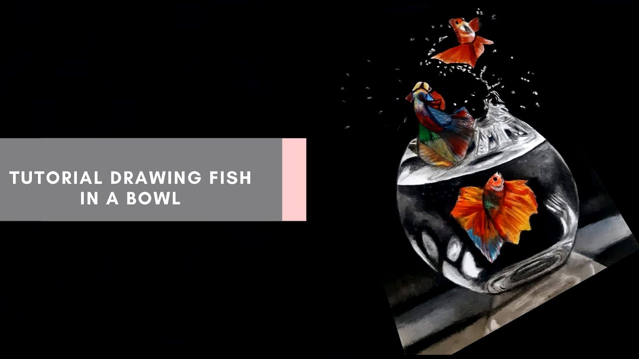 Drawing 3D Fish in a Bowl | Watercolor | Colored Pencils - YouTube