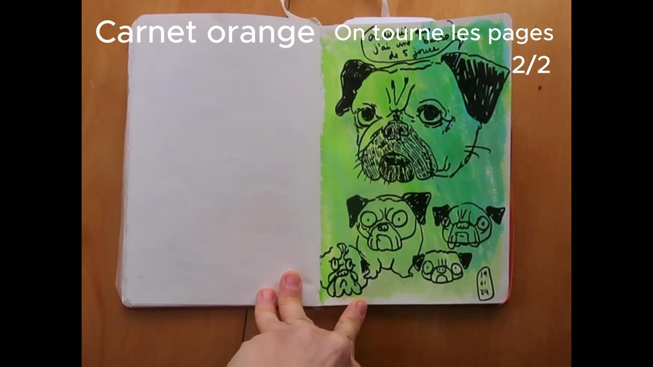 Carnet orange 2/2 - On tourne les pages - Sketchbook flip through - YouTube