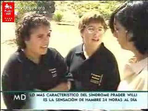 Campamentos AESPW (Madrid Directo Telemadrid 2004) - YouTube