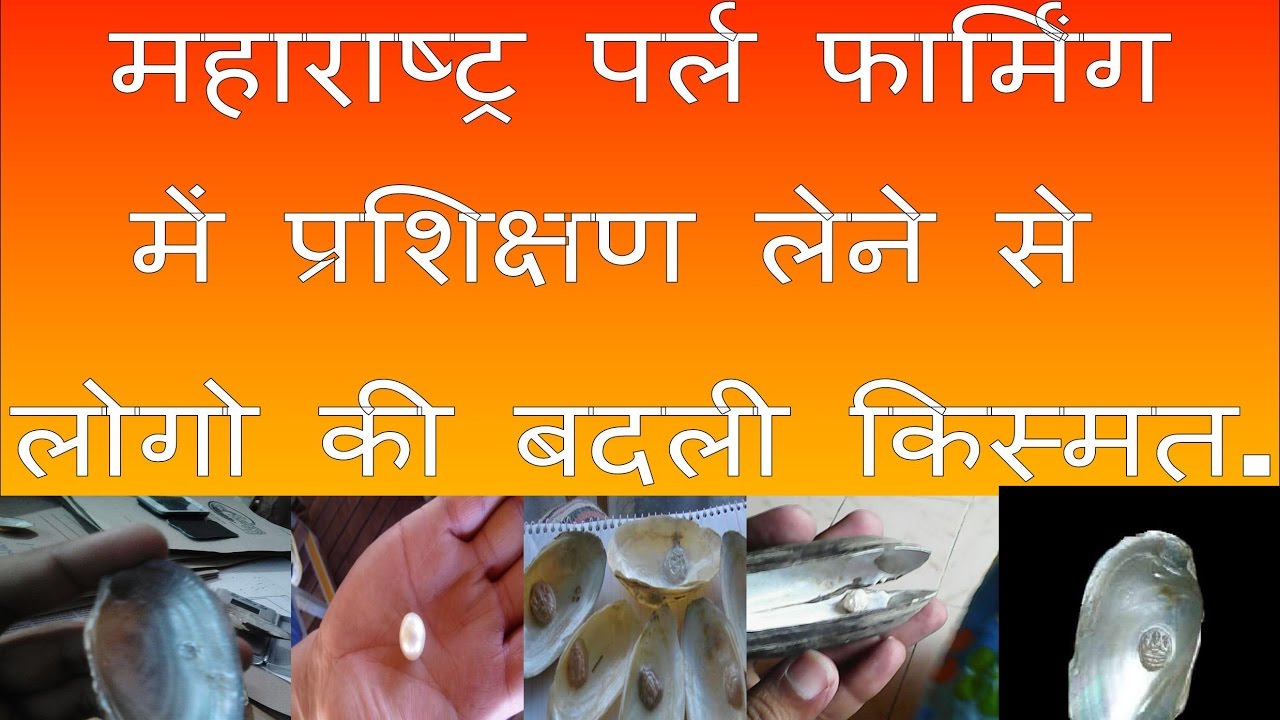 MPFPC MAHARASHTRA PEARL FARMING PRACTICE CENTRE (moti ki kheti )(मोती ...