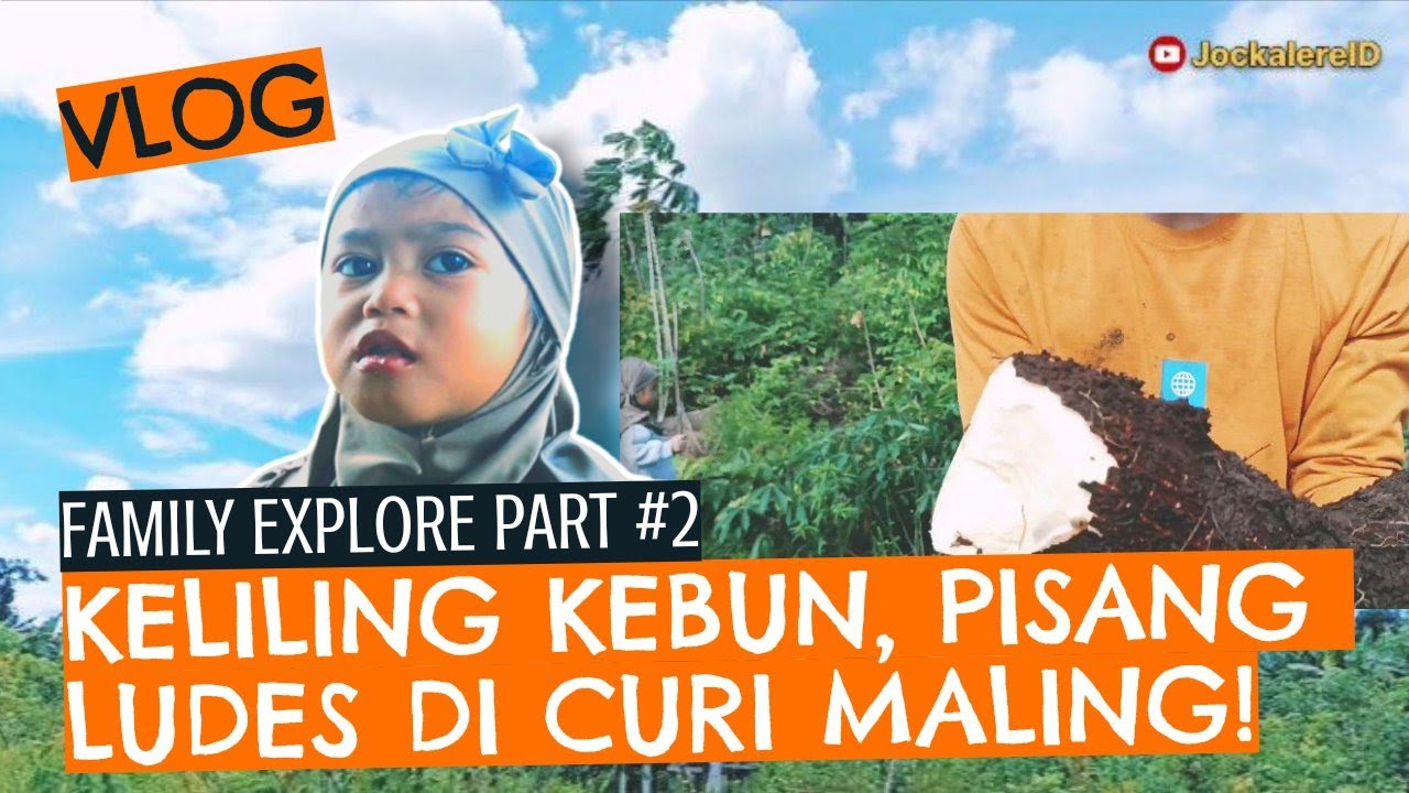 Berkemah 2 Kita Mau Makan Apa Youtube 9579