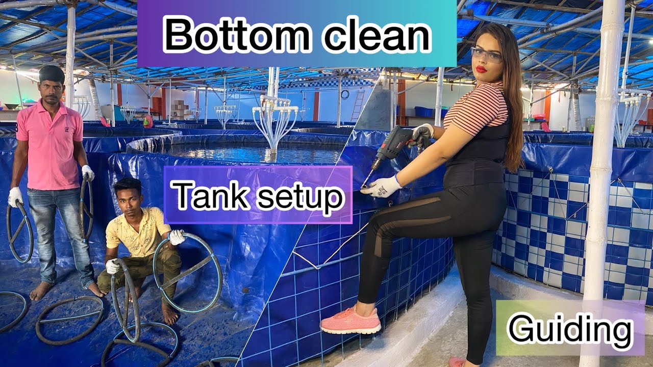 How I setup a tank with bottom cleaning method in easy way | fish ...
