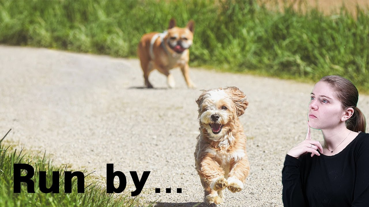 Run by vs put to the test - YouTube