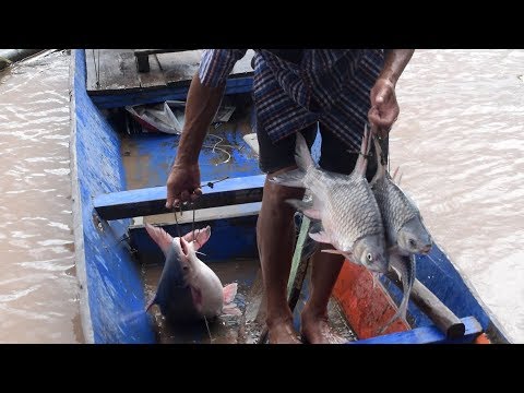 Net Fishing - Catching Fish in Savannakhet laos , amazing fishing - YouTube