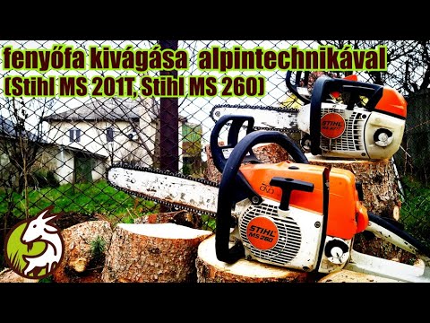LENYIROM.HU: fenyőfa kivágása alpintechnikával (Stihl MS 201T, Stihl MS ...