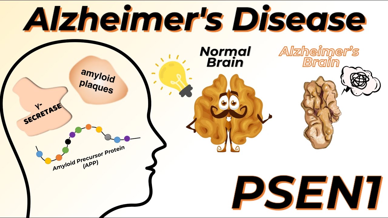 The real story behind Alzheimer’s Disease and PSEN1 - YouTube
