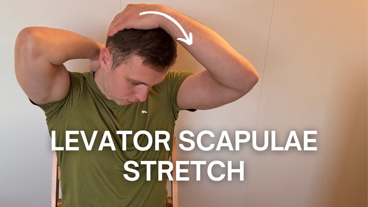 Levator Scapulae Stretch | Ephysical - YouTube