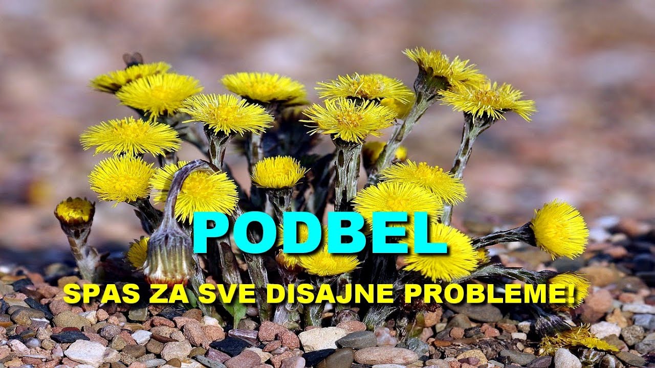 PODBEL - SPAS Za SVE DISAJNE PROBLEME! - YouTube