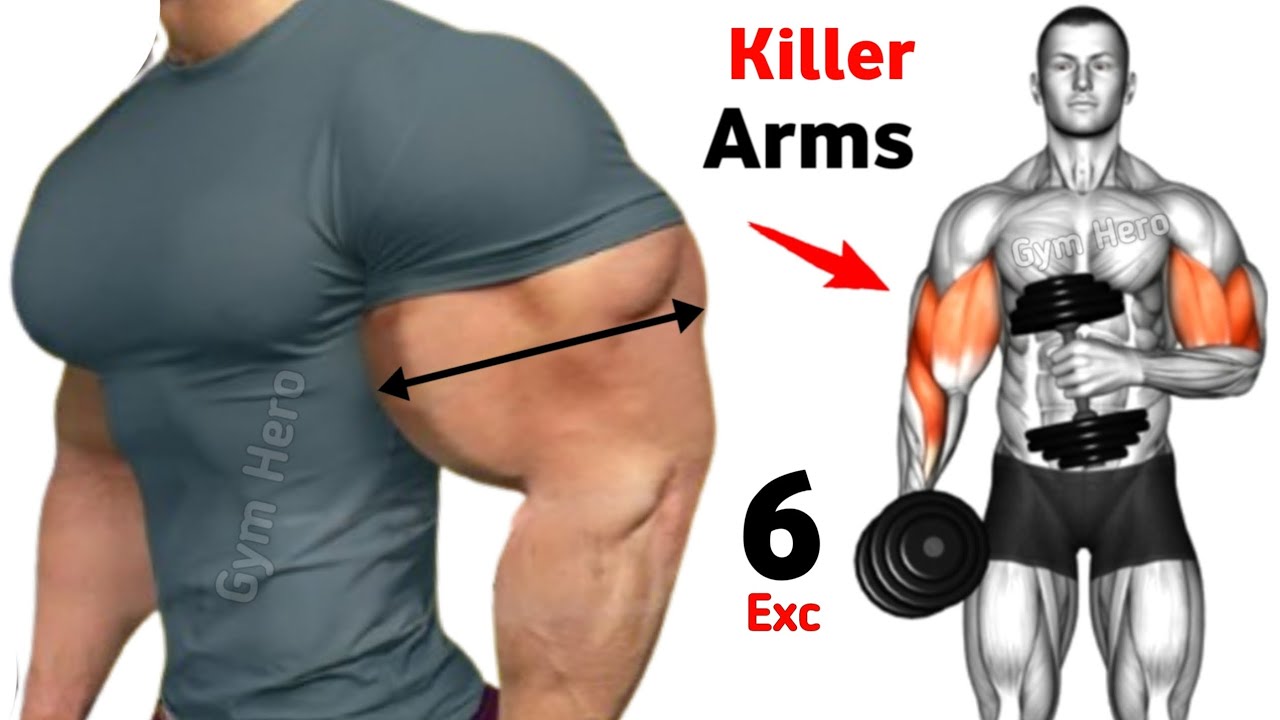 Sculpt Your Arms: 6 Killer Exercises for Huge Biceps & Triceps - YouTube