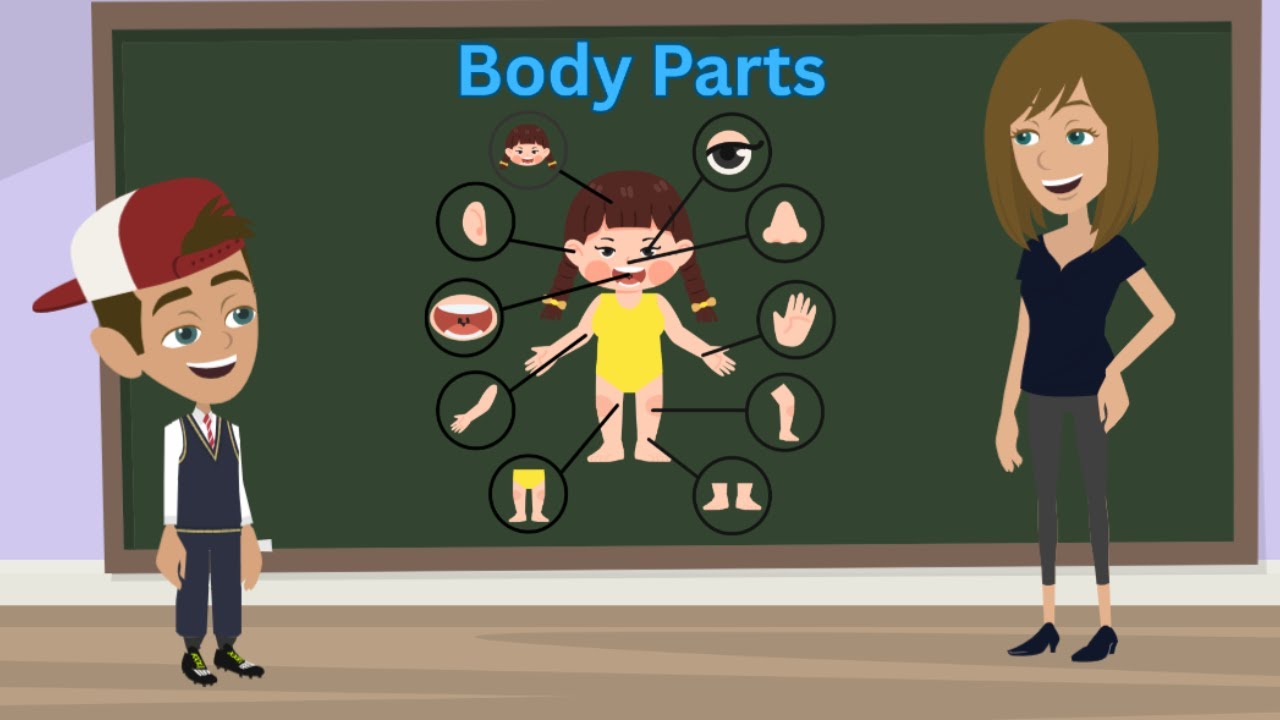 Parts of body name with pictures | Body Parts Name | Parts of our Body ...