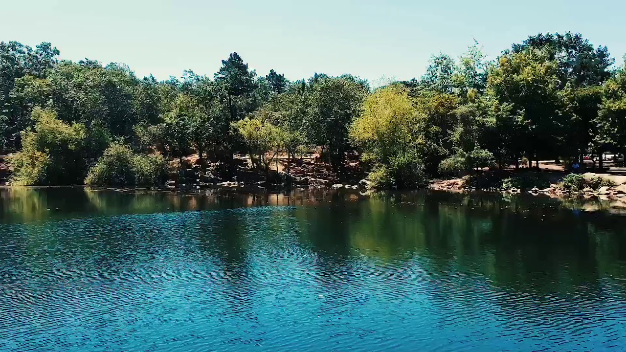 Lake Ralphine, Santa Rosa, CA - YouTube