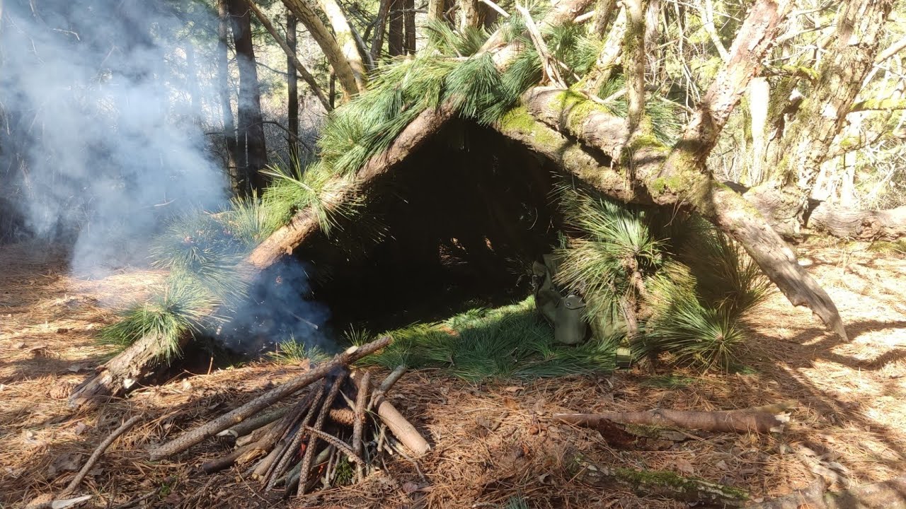 Building a Survival Bushcraft in the Woods - Off Grid Shelter - YouTube
