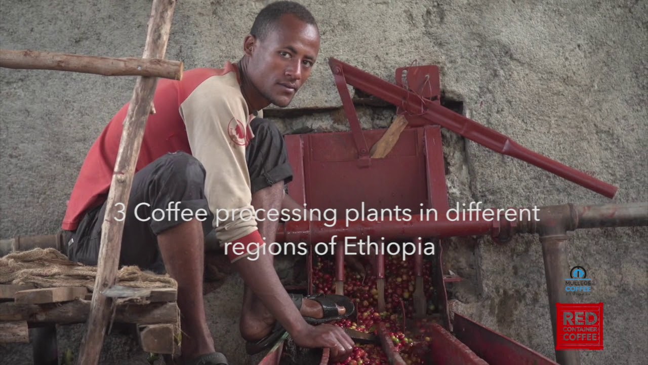 Mullege Coffee mills - YouTube
