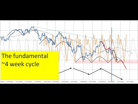 The fundamental ~4week cycle - whats behind? - YouTube