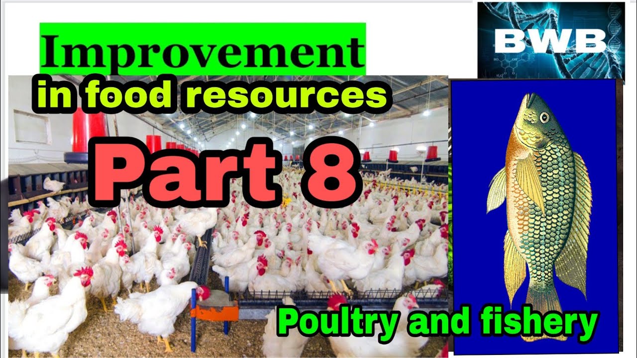 Improvement in food resources Part 8/ Poultry and fish farming/ BWB ...