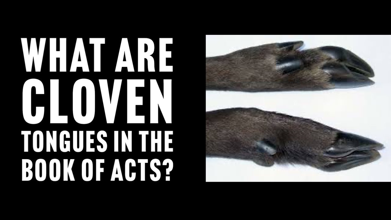 WHAT ARE CLOVEN TONGUES IN THE BOOK OF ACTS? - YouTube