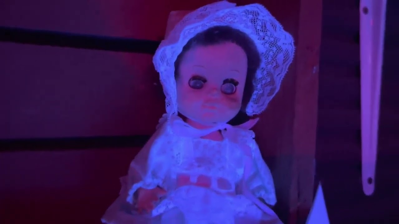 Libby is always watching... You never know what her next move may be! - YouTube