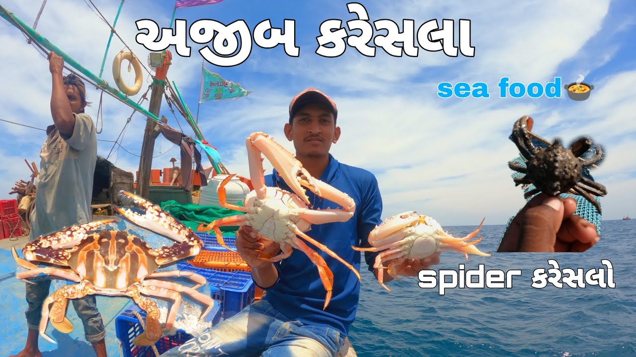 અજીબ કરેસલા 🦀|| awkward crabs😧 || sea food || spider 🕷 કરેસલો || # ...