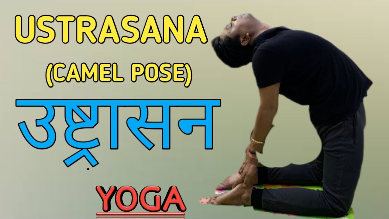 How to do USTRASANA - उष्ट्रासन PERFECTLY (Camel Pose) : BENEFITS ...