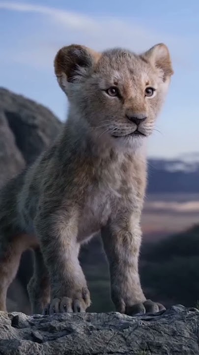 صوت الاسد -صوت زئير الأسد - Lion - YouTube