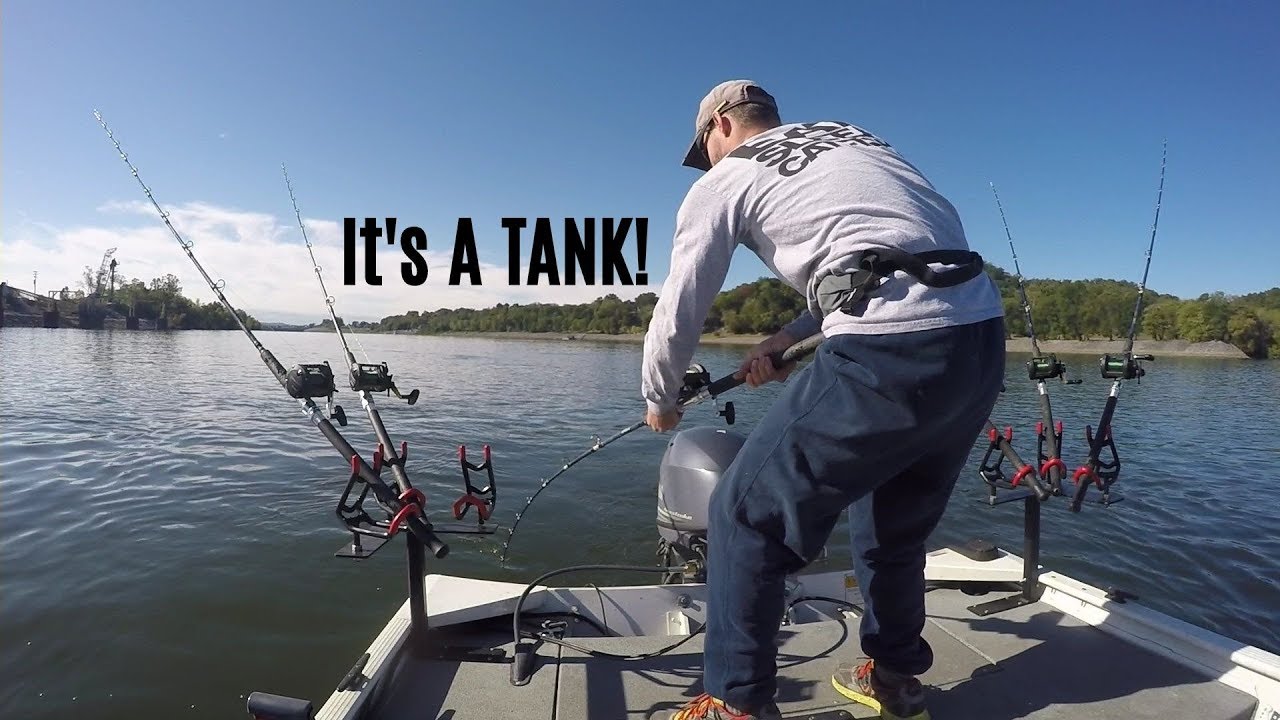BIG Bite, HUGE Catfish! Early Fall Catfishing - YouTube