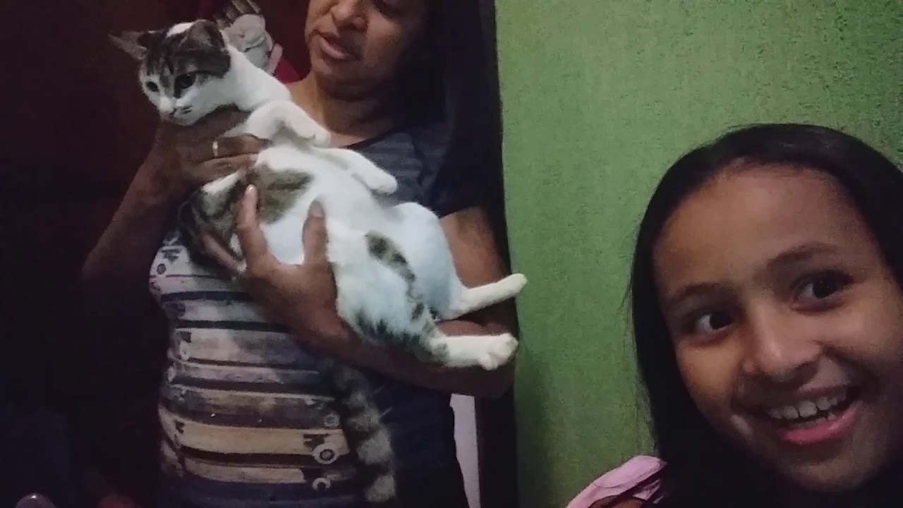 Blog E Novelinha Minha Gatinha Muito Linda Youtube