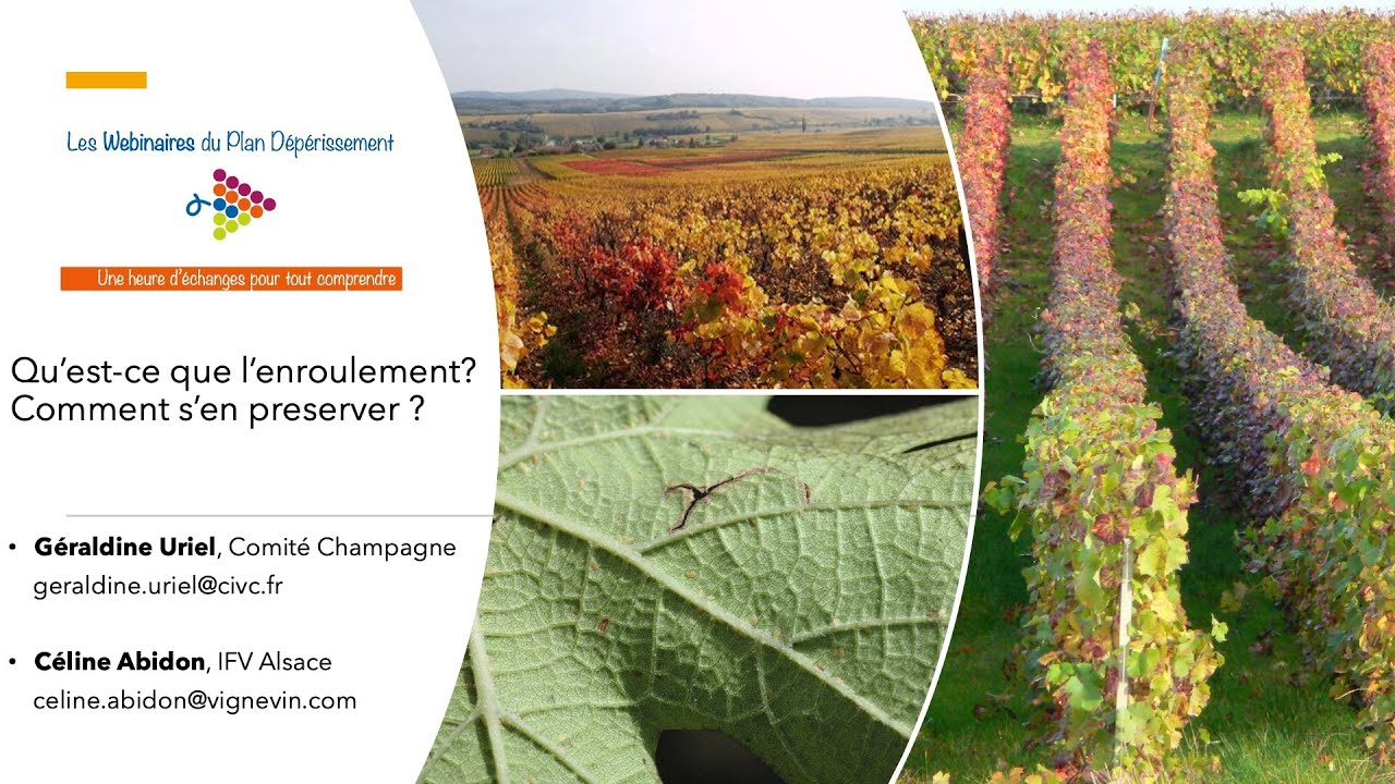 Webinaire Qu'est-ce que l'enroulement ? Comment s'en préserver ? - YouTube