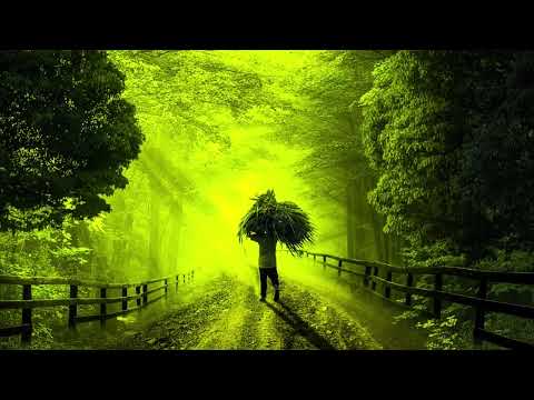 Mal Mal Heenaya Seethala Udaye / Nanda Malini , Sunil Ariyaratne