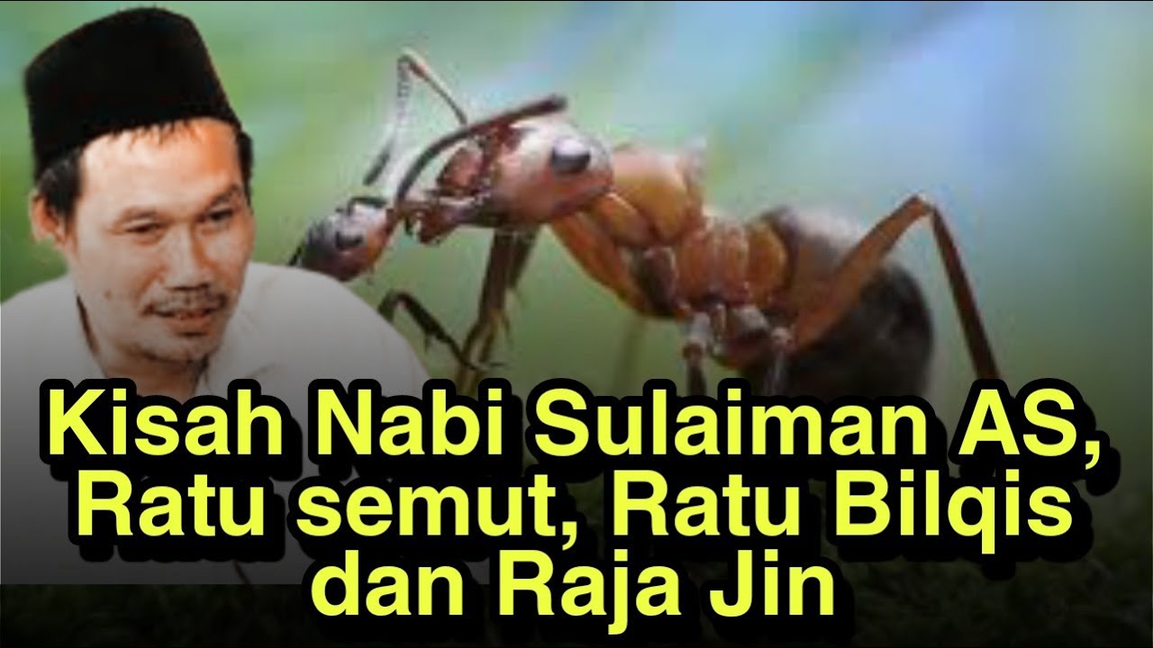 ️ Ngaji Gus Baha' Kisah Nabi Sulaiman AS, Ratu semut, Ratu Bilqis dan ...
