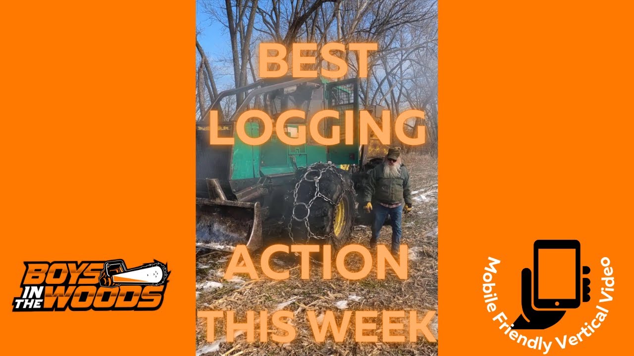 The BEST logging action of the week - #logger #timberjack #stihl # ...