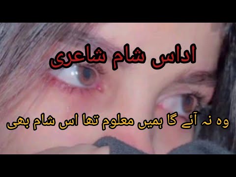 Udas Sham Poetry In Hindi | Udas Sham Poetry In Urdu | Poetry Voice ...