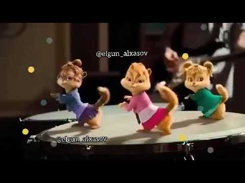 Burunduqlar ° NAVRUZ ° bayram bilan tabriklaydi ✓