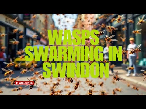 The Town Overrun by Man-Eating Wasps - YouTube