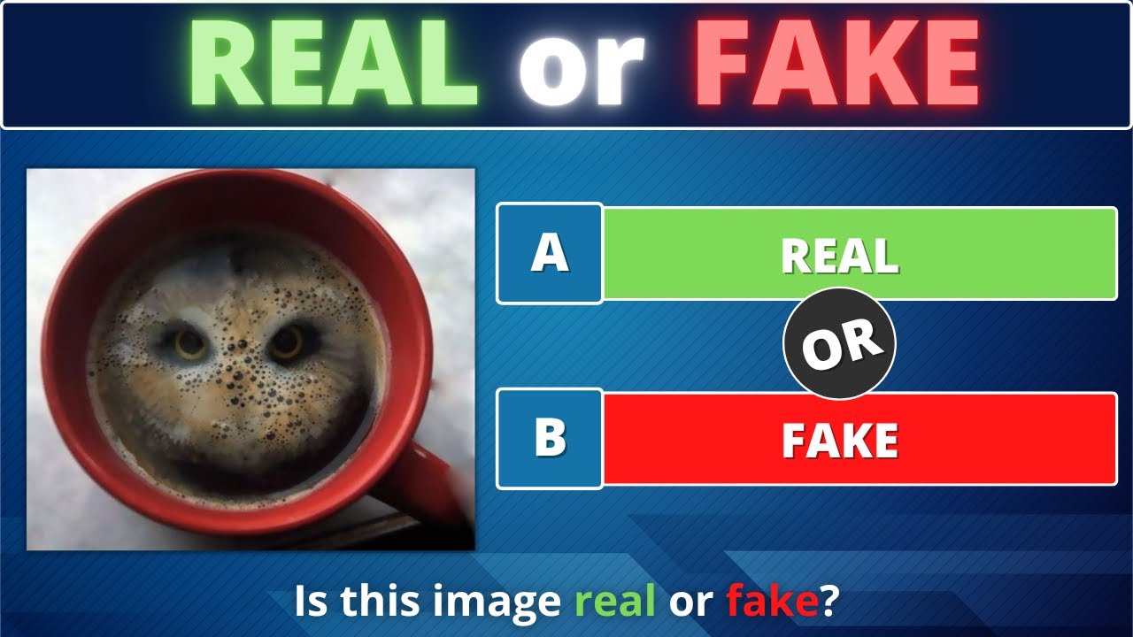 Unbelievable Photos BUT Are They Real or Fake? Take Up The Challenge 🧐 ...