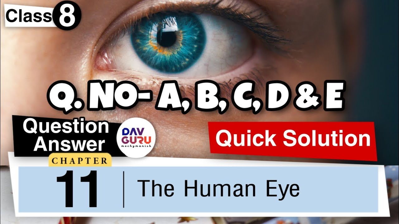 Chapter 11 The Human Eye Class 8 DAV Science Question Answer Chapter 11 The Human Eye Class 8 DAV Science Question Answer