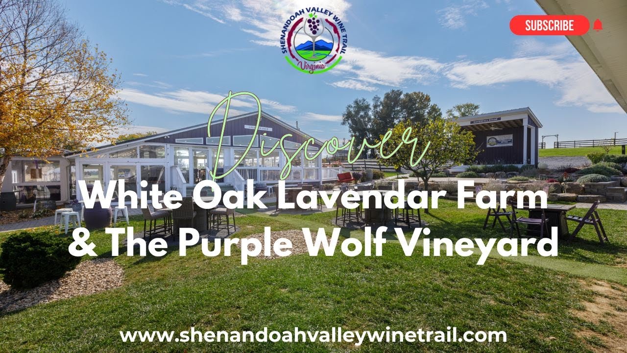 Discover White Oak Lavender Farm and The Purple Wolf Vineyard in ...