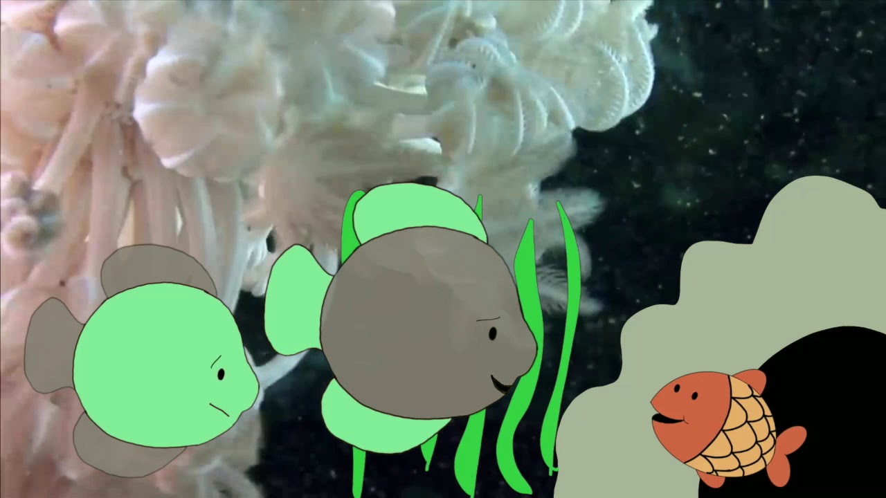 valor fortaleza - YouTube