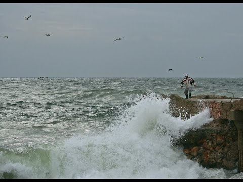Dev Dalga İskeleyi Yuttu...