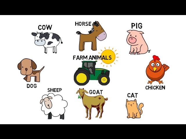 Animal Farm Terminology