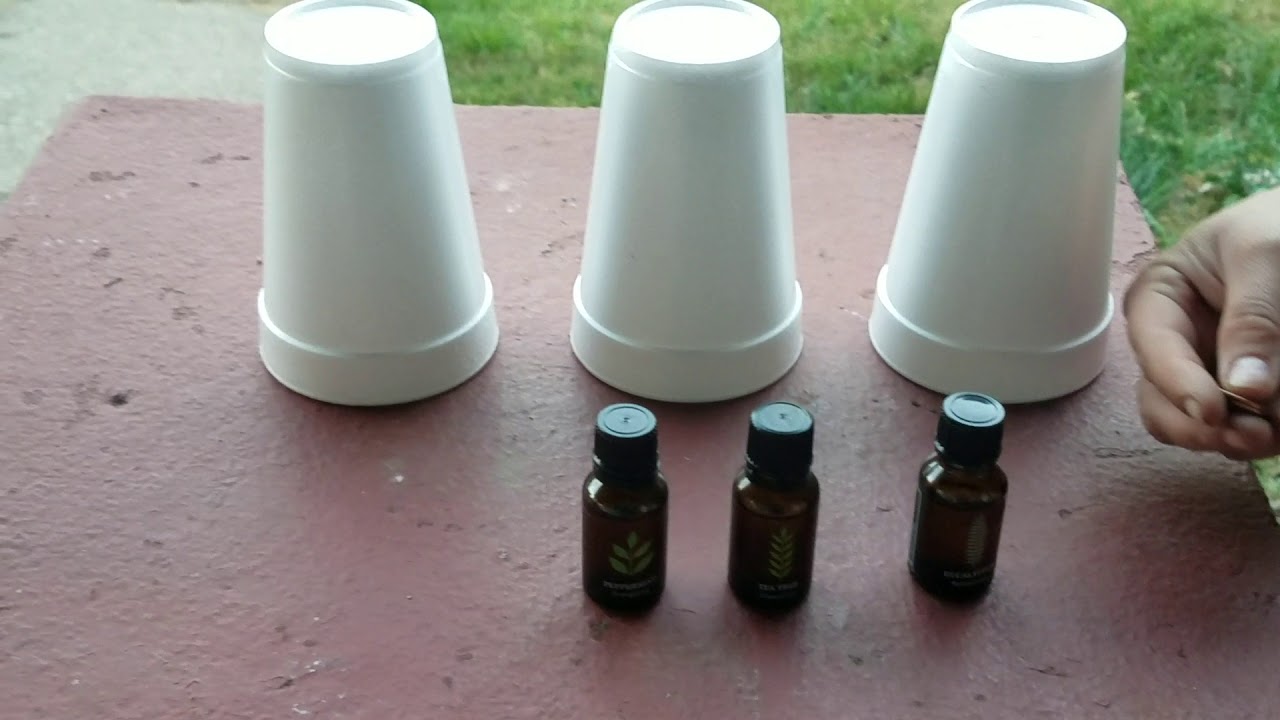Essential oil purity test part 1 of 2 - YouTube