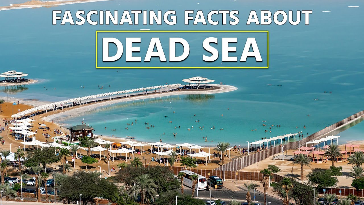 Fascinating Facts About Dead Sea | Insight Station #shorts - YouTube