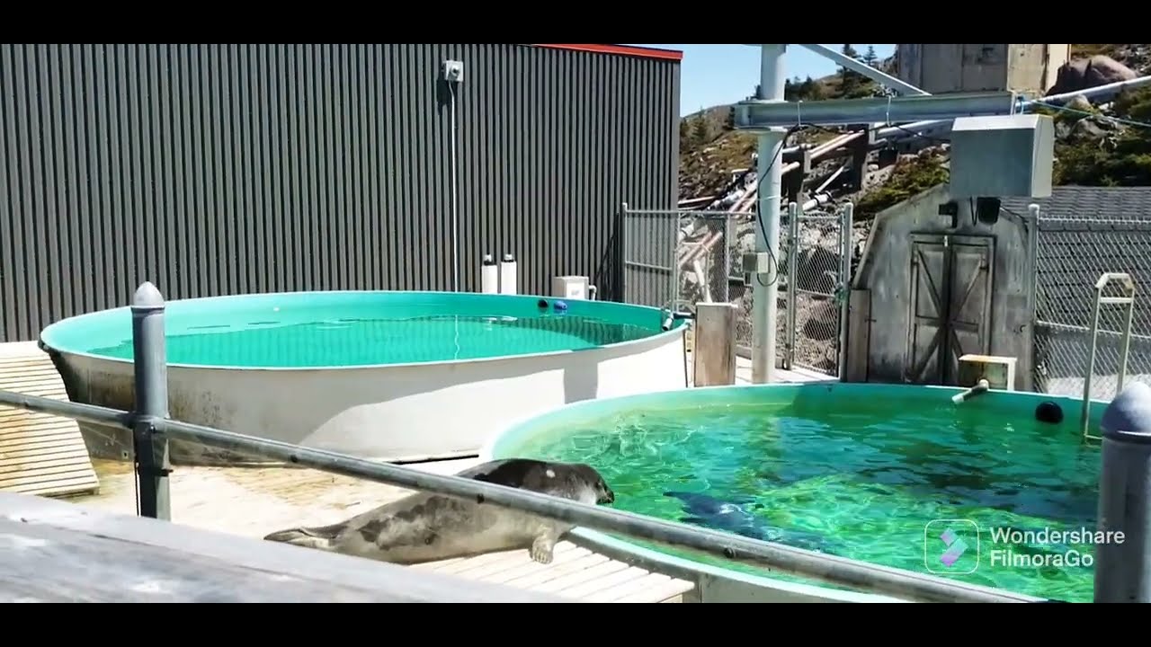 Ocean Science Centre Marine Lab Rd, St. John's, Newfoundland Canada ...